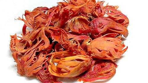 Stylo Fresh Big Size Organic Mace Japatri javitri Stylo