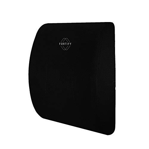 Fortify OrthoSense Premium Back Support with FORTIFY - NavaFresh ...