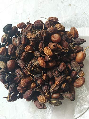 Ambe Ayurveda - Neem seeds - Nimboli - Neem Guthli Generic - NavaFresh ...