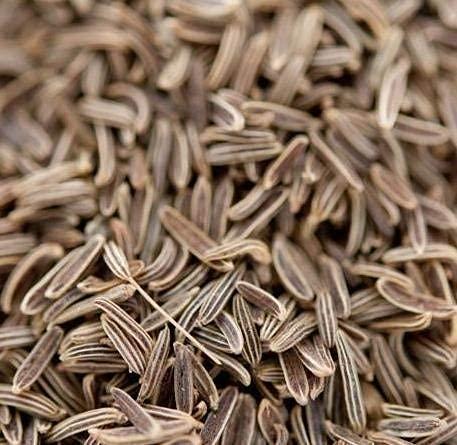 NUTRIGRASS Shah Jeera - Caraway Seeds - Carum Carvi - Shahi JIRA - Shah ...